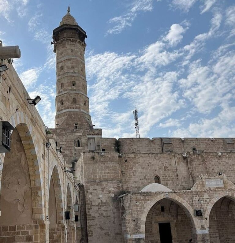 word-image-37560-4 - Adara Relief International